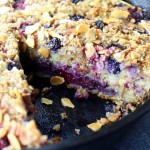 Triple Berry Blender Cake - Taste And See